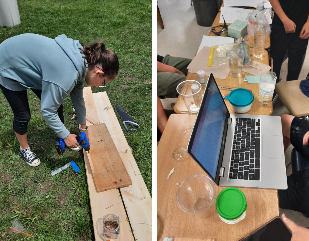 Students at JD Hogarth Public School Plan and Implement SDG Projects ...